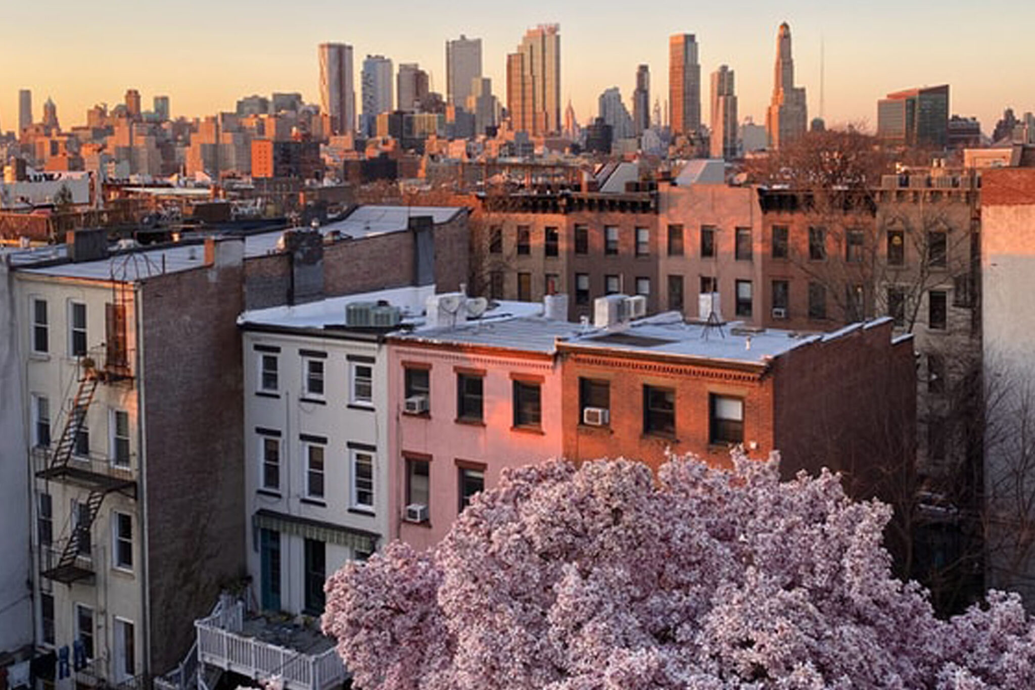 HPD Certificate of No Harassment (CONH) in NYC: What You Need to Know